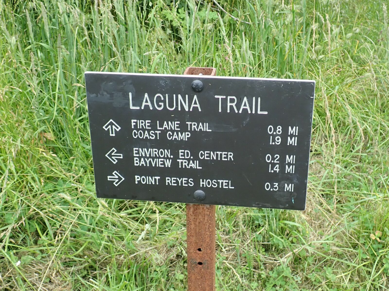 Laguna Trailhead, Pt. Reyes National Seashore – Marin = Hike