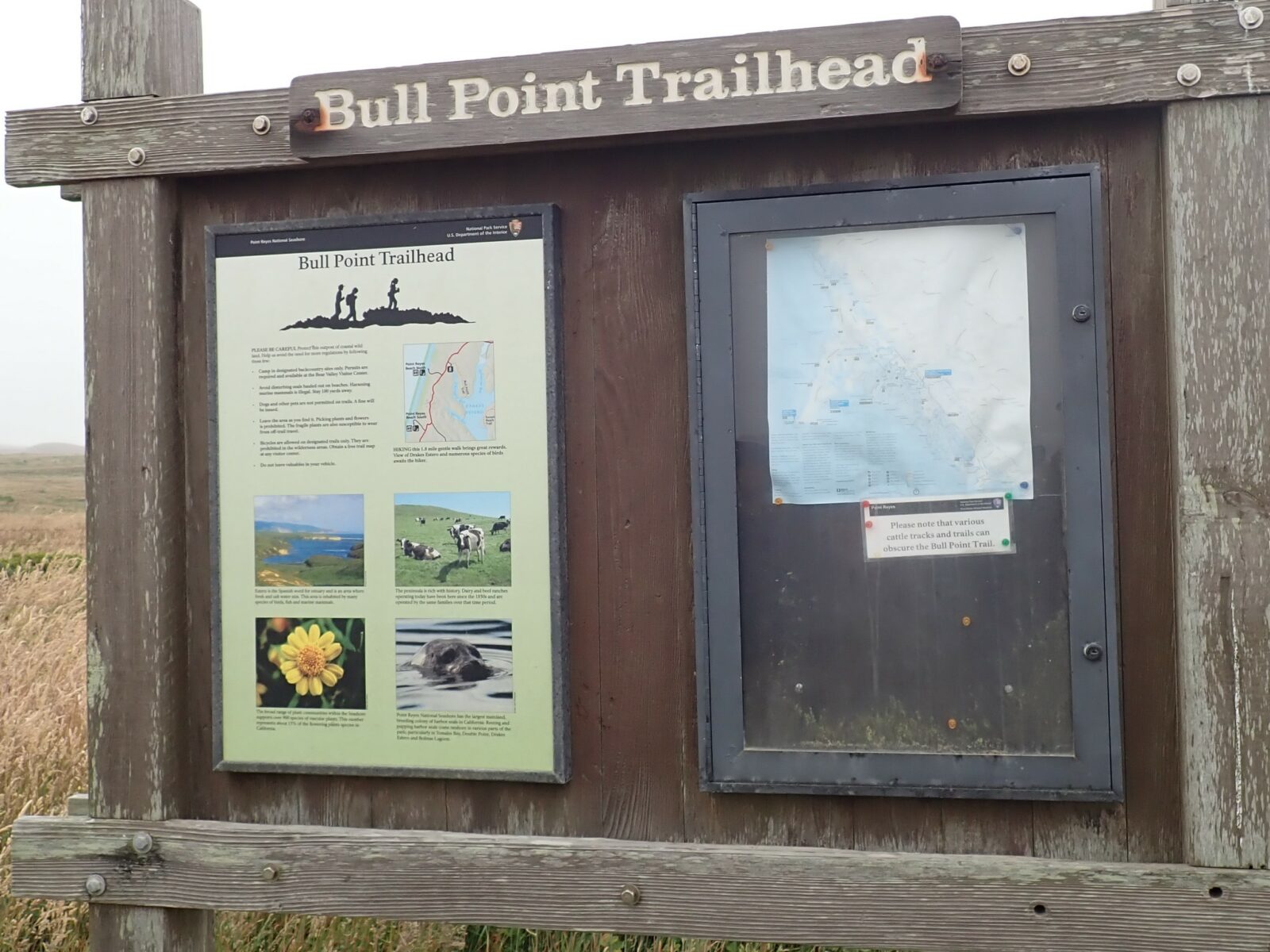Bull Point – Marin = Hike