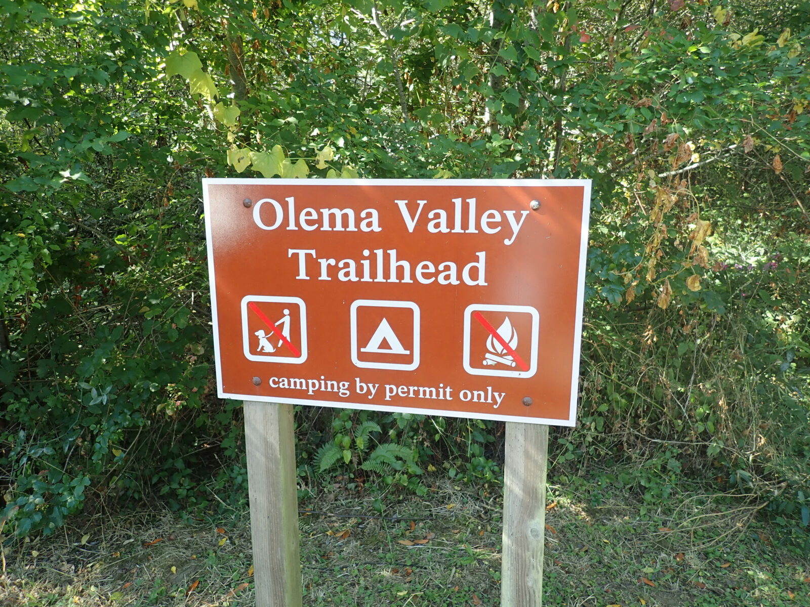 Olema Valley Trail to Five Brooks – Marin = Hike