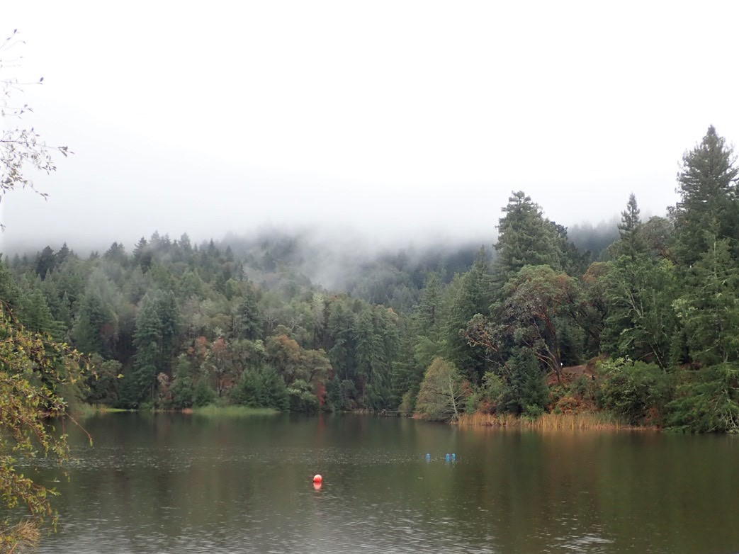 Lake Lagunitas – Marin = Hike