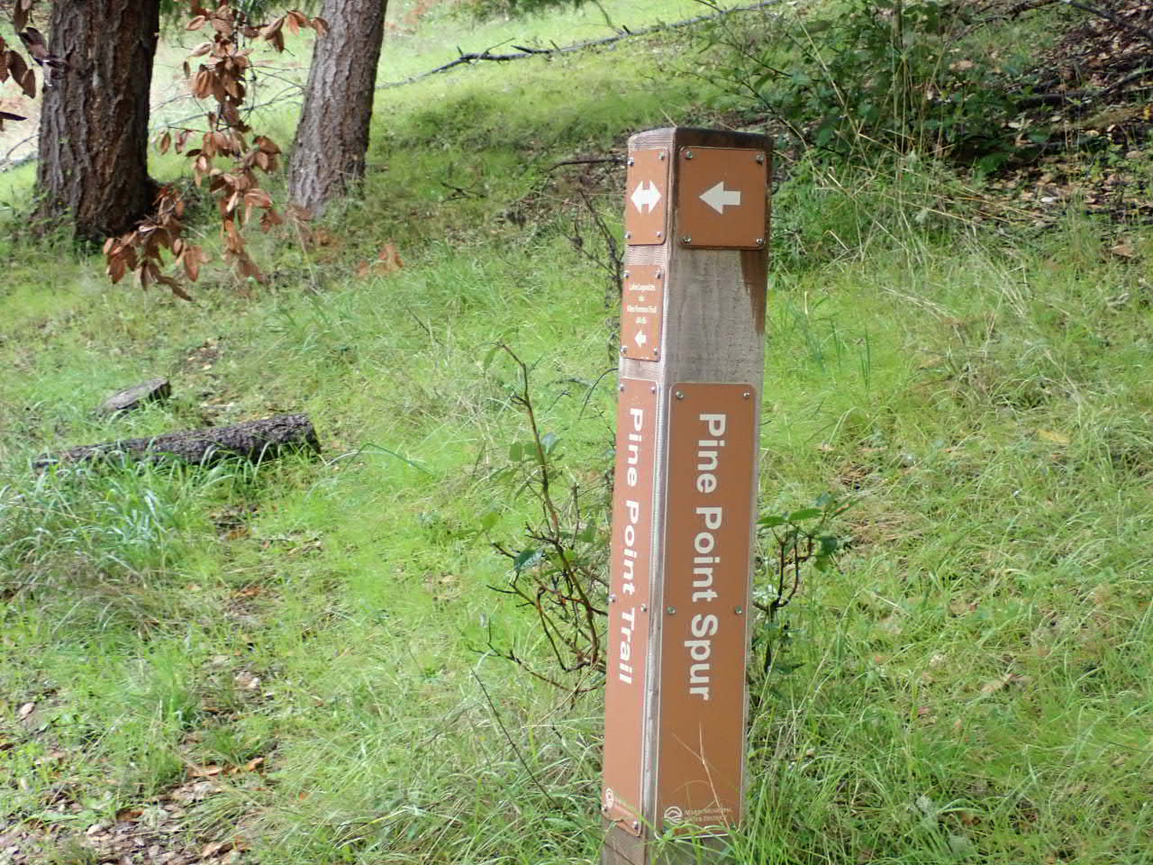 Bon Tempe Loop – Marin = Hike