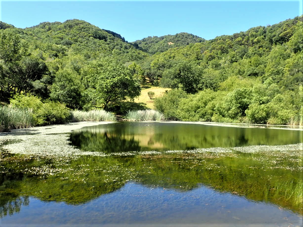 Indian Valley Open Space Preserve – Marin = Hike