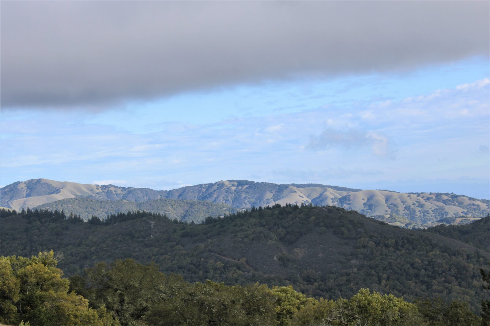 Carson Falls – Marin = Hike