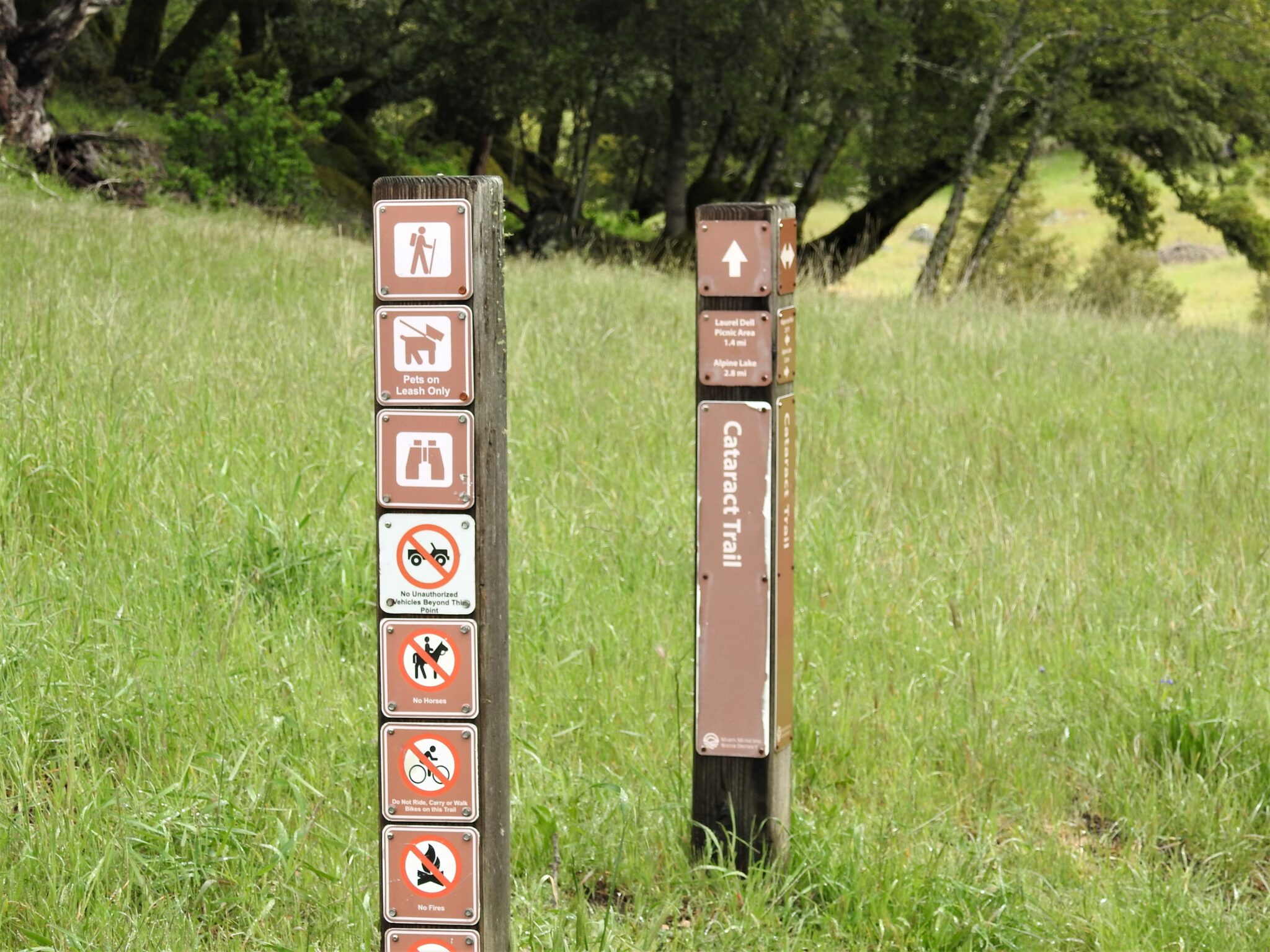 Rock Springs Loop – Marin = Hike
