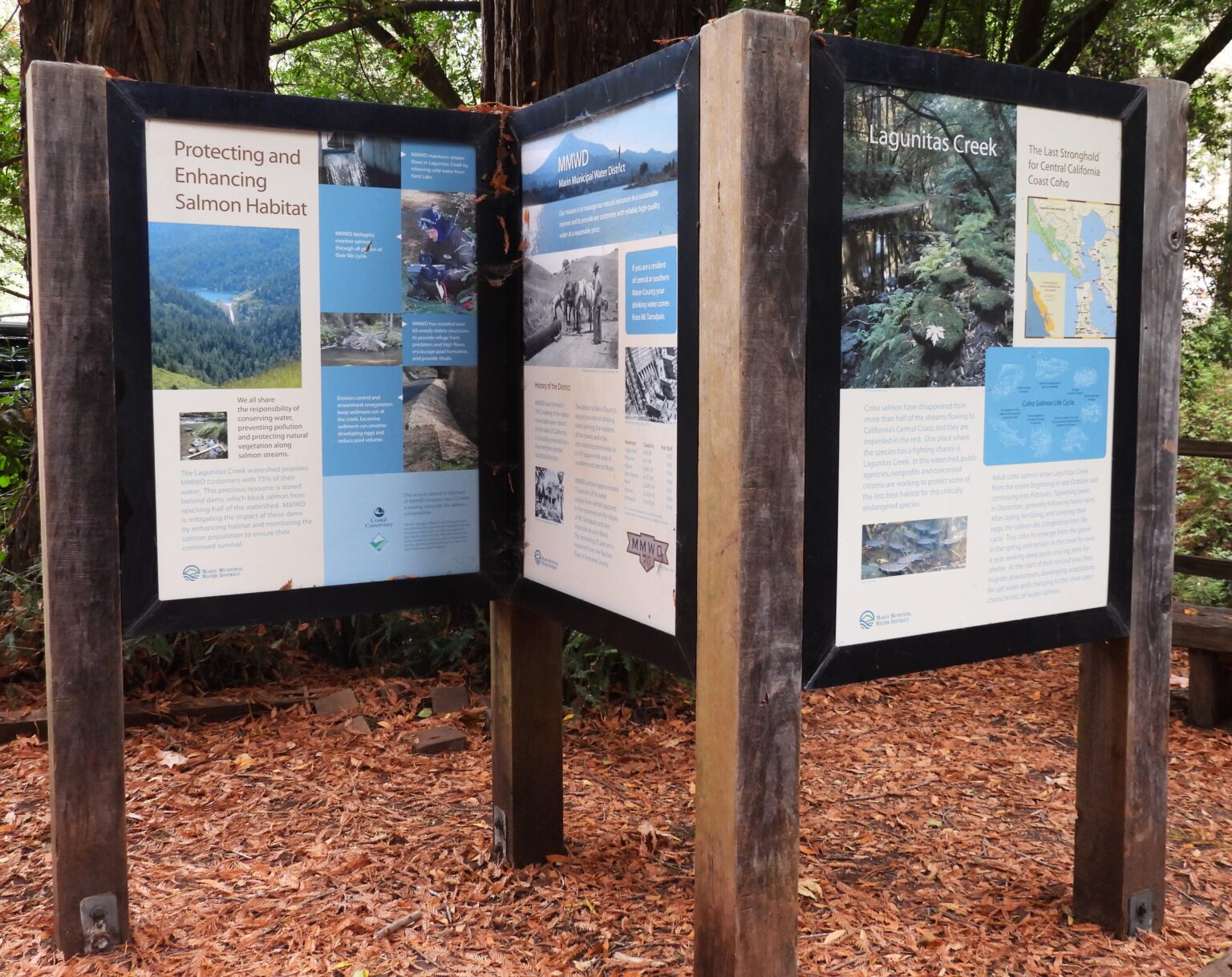 Loop Hike from Cronin Fish Viewing Area – Marin = Hike