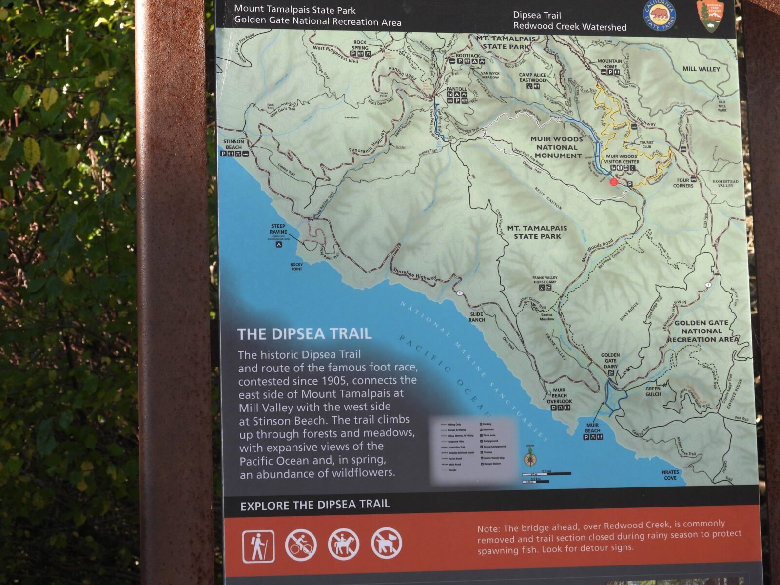 Dipsea Trail to Muir Woods – Marin = Hike