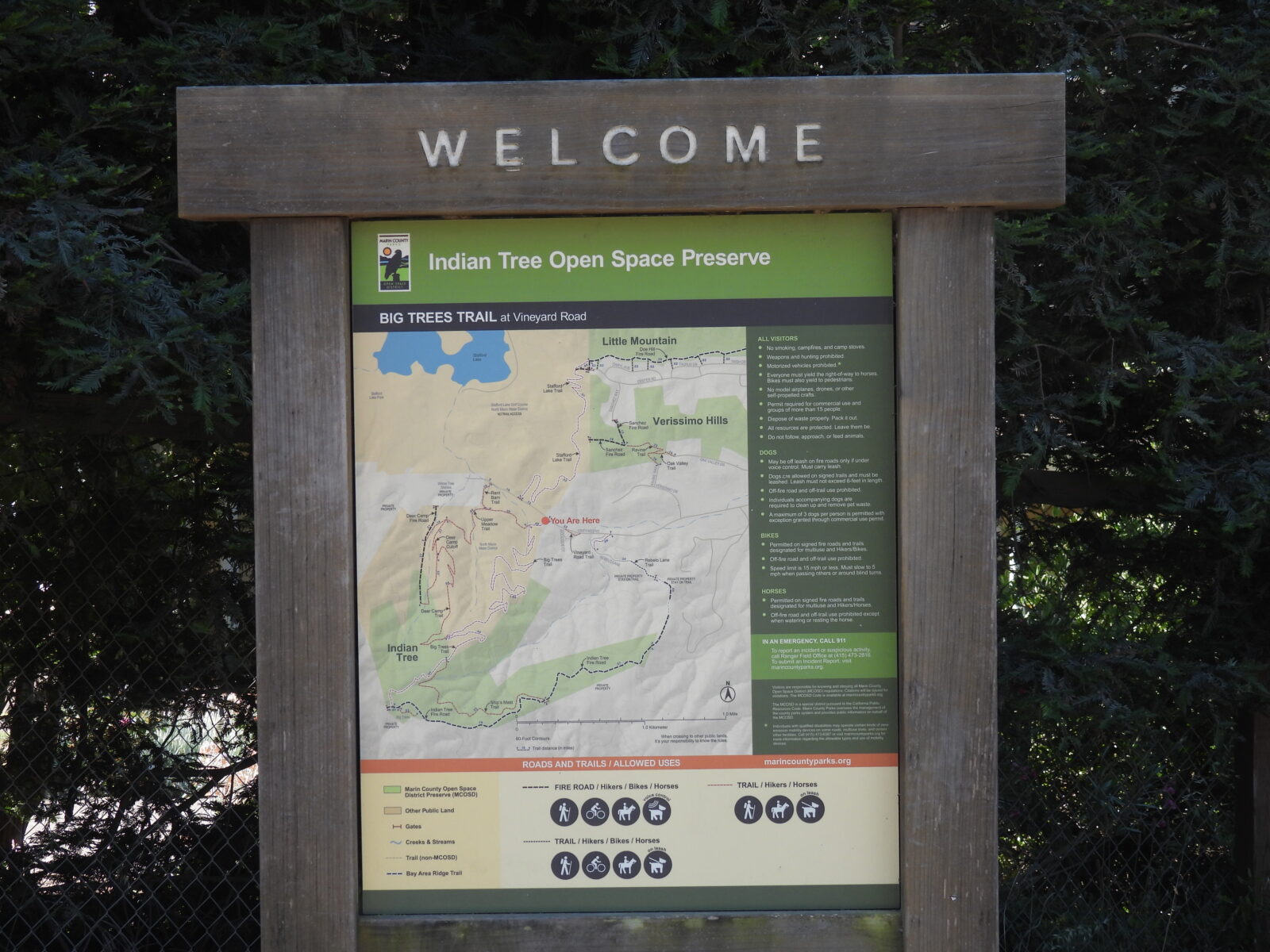 Big Trees Trail, Indian Tree Open Space Preserve – Marin = Hike