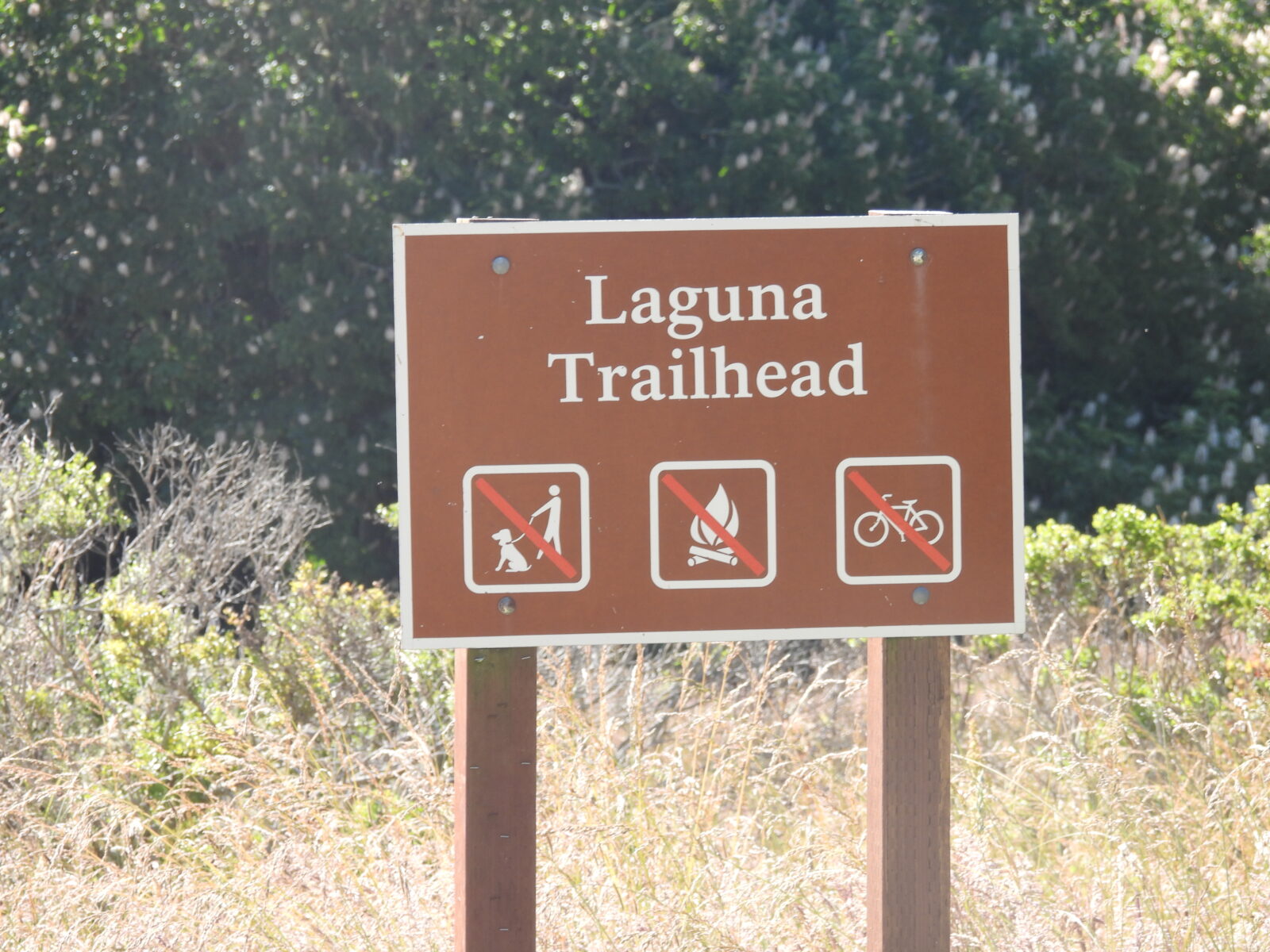 Laguna Trailhead – Marin = Hike