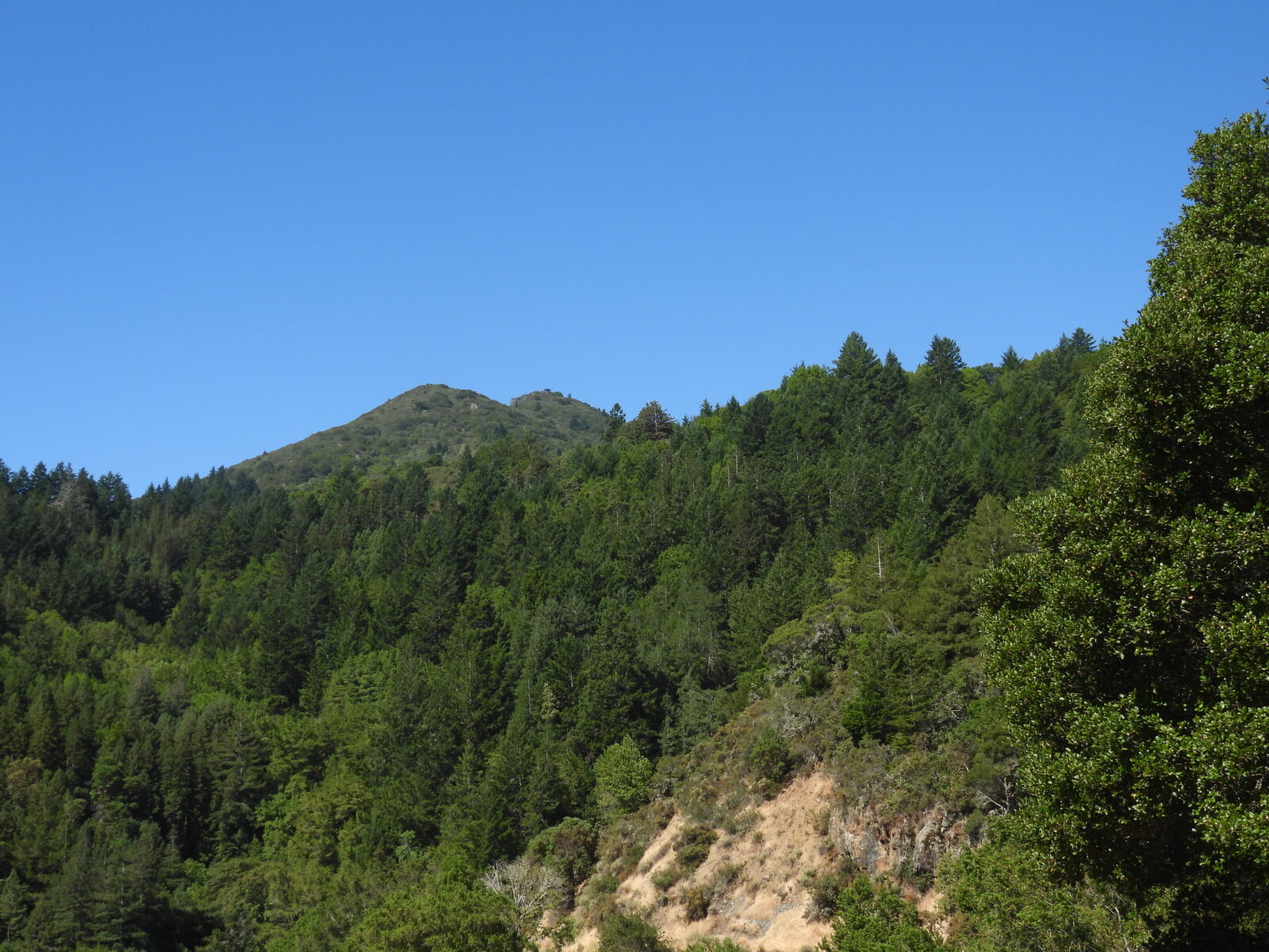 Baltimore Canyon Open Space Preserve – Marin = Hike