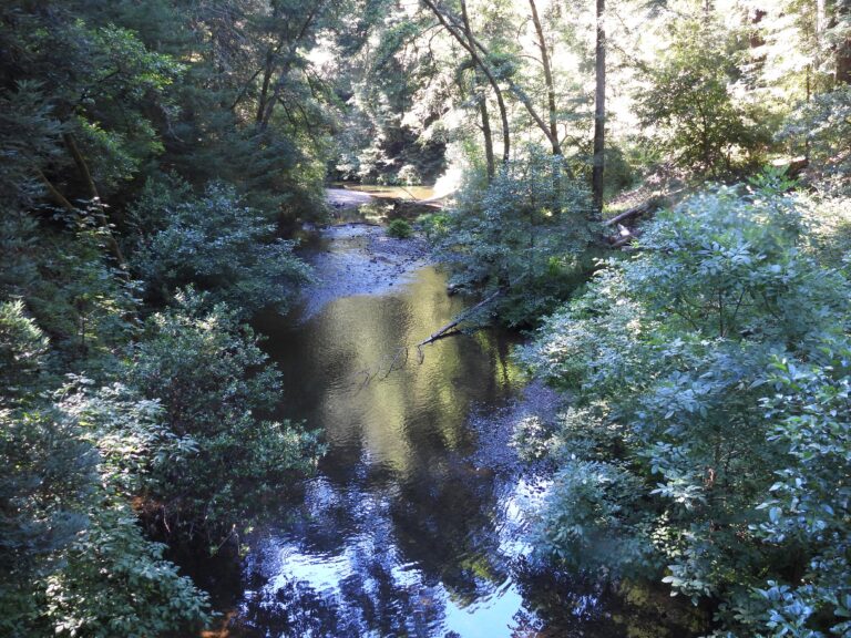 Cross Marin Trail – Marin = Hike